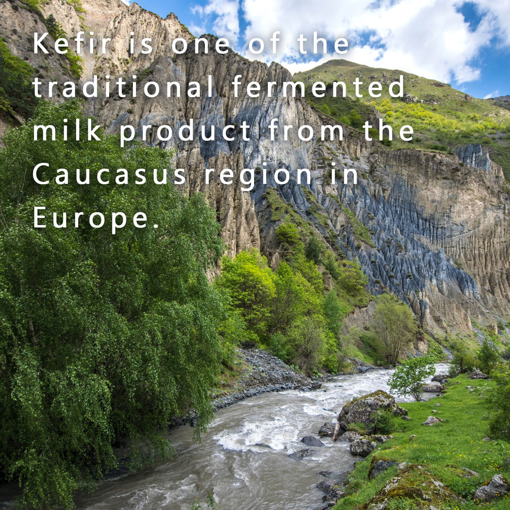 FINE Active Kefir, Probiotic Prebiotic (300 Tablets) by FINE JAPAN ...